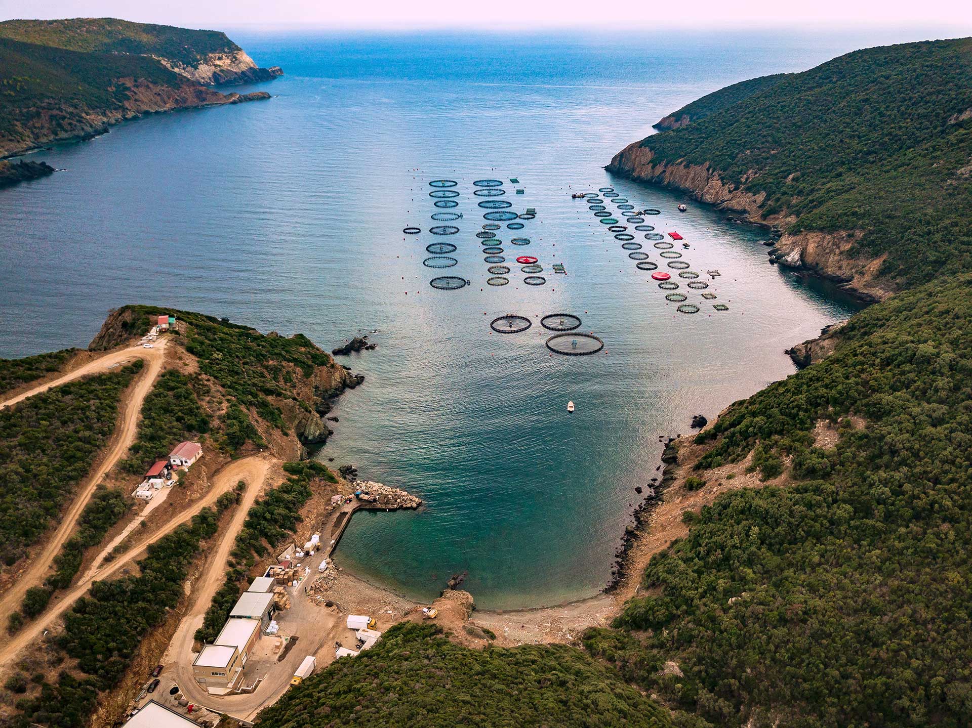 06. Ενίσχυση Υδατοκαλλιεργειών – Δράσεις Αγροδιατροφής